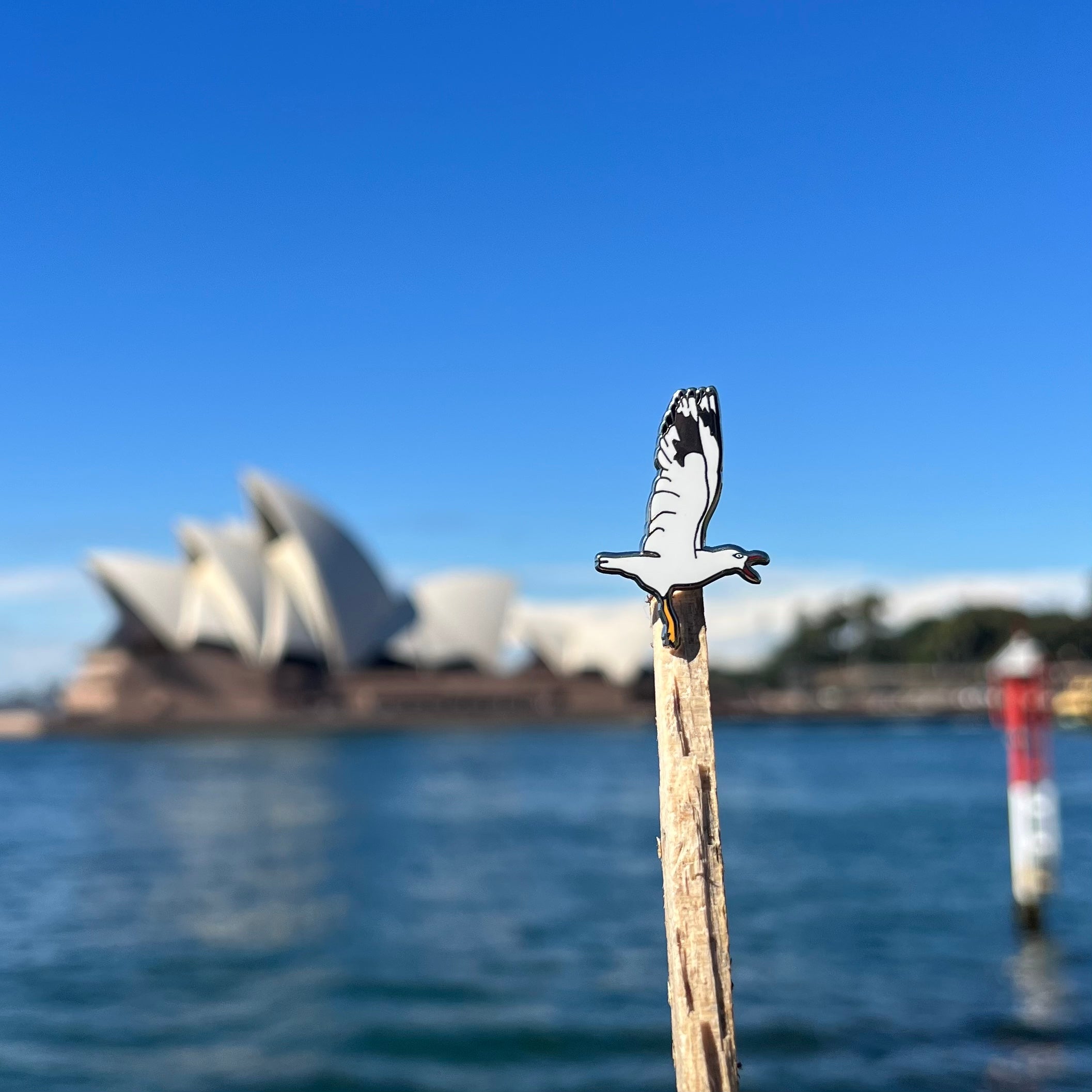 Seagull pin – Bush Bling