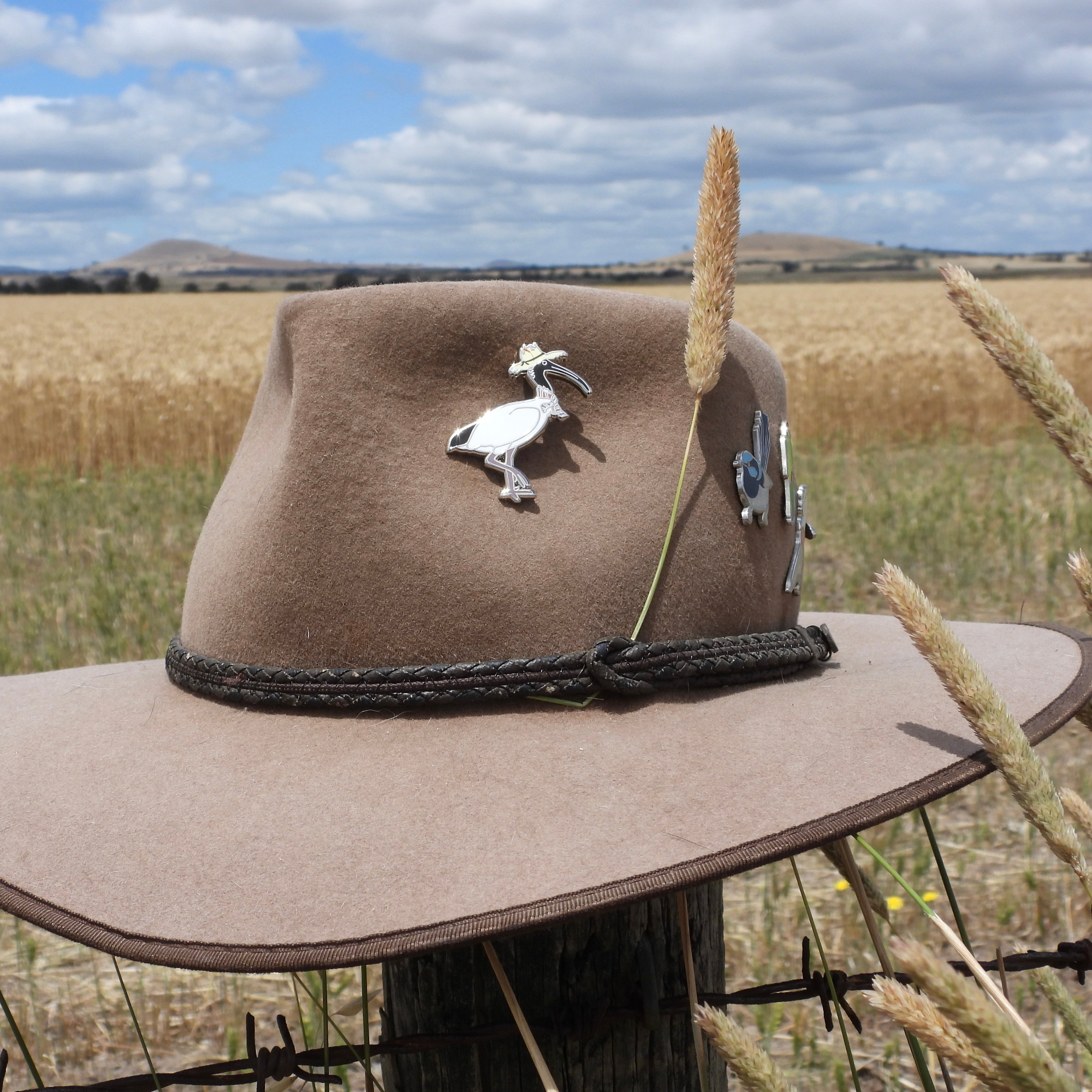 Ibis Country Style pin – Bush Bling