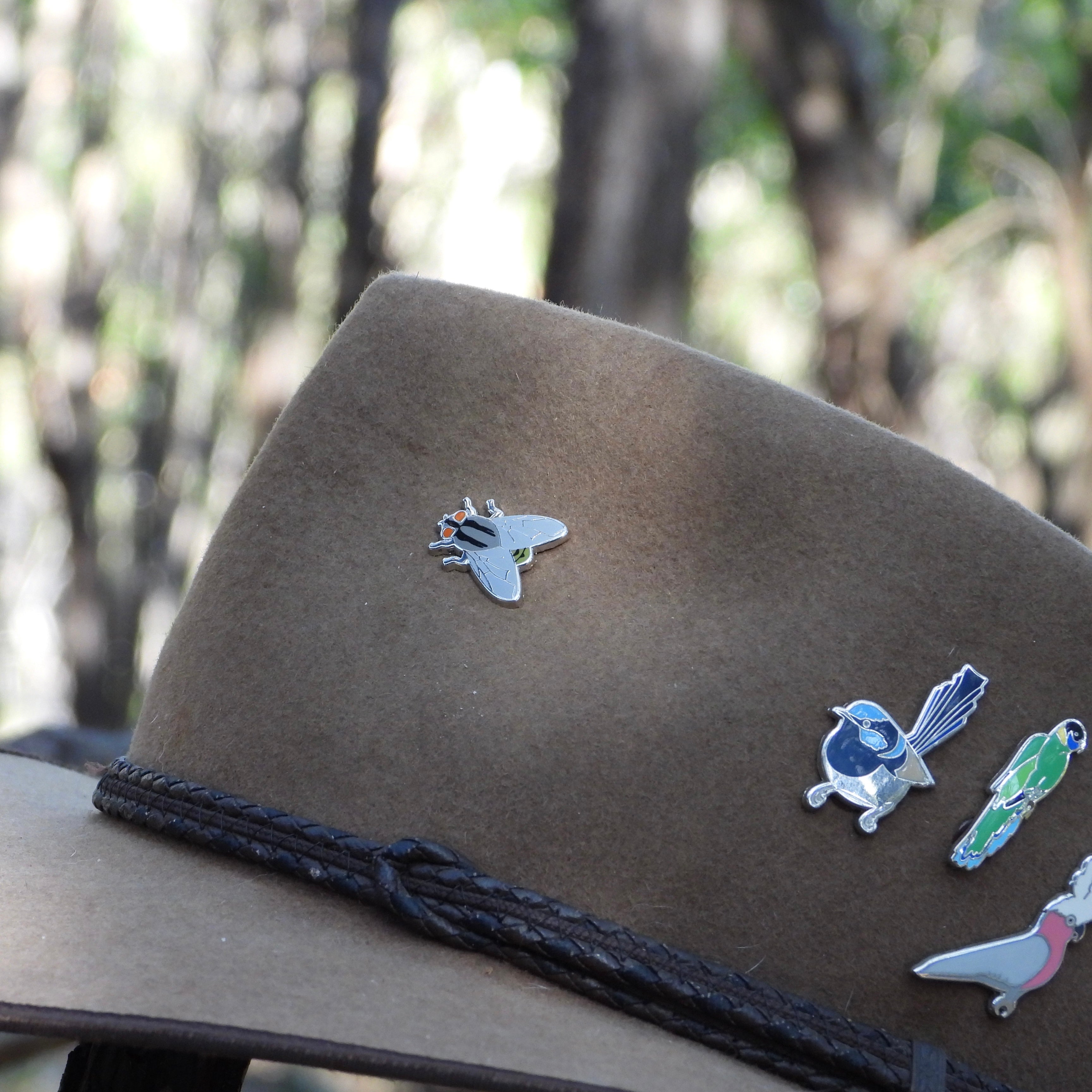 Australian Bush Fly pin ‘petit edition’ – Bush Bling